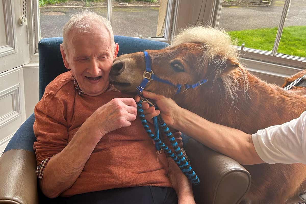 Therapy ponies greeted with smiles and cuddles from St John's Care Home ...