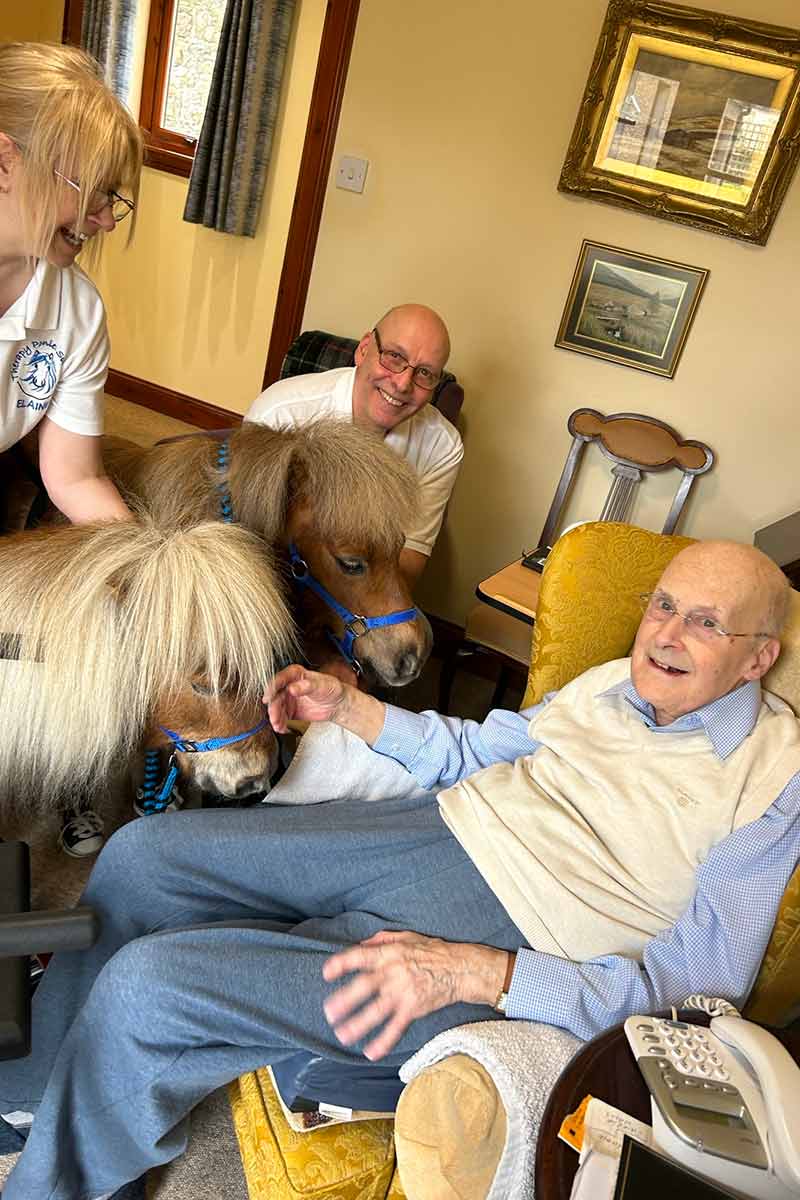 Therapy ponies greeted with smiles and cuddles from St John's Care Home ...