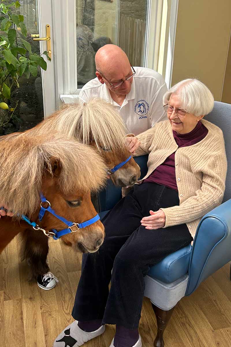 Therapy ponies greeted with smiles and cuddles from St John's Care Home ...
